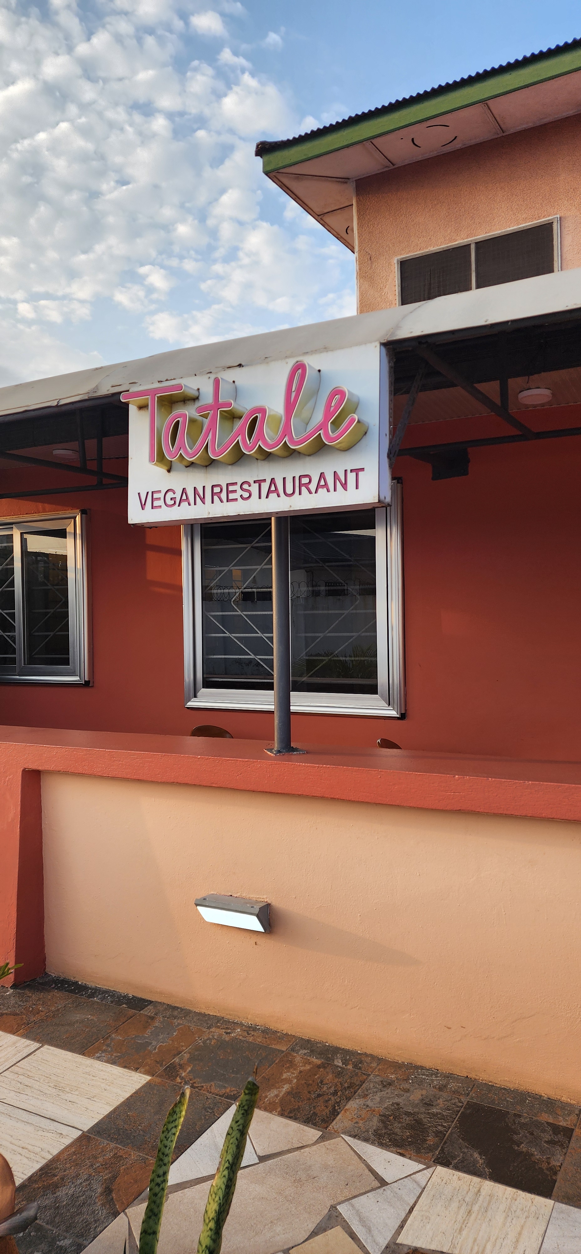 Guide: How to Eat Vegan in Ghana - Plant Based Odyssey